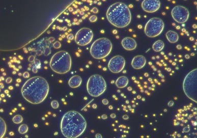 Karl.C’s Substack | Substack