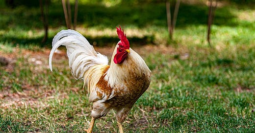 Contextual Healing | Chris Combe | Substack