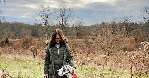 Many Meetings | Breanne Rodgers | Substack