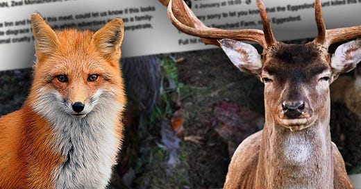 Protect the Wild | Substack