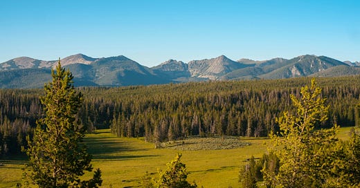 Asha’s Substack | Asha Logos | Substack