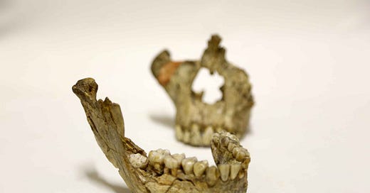 John Hawks | Substack