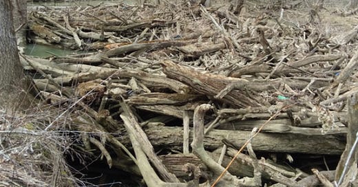 Marysville Matters | Joe C. | Substack