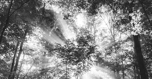 The Heart of Stillness | Benjamin James Freeman | Substack