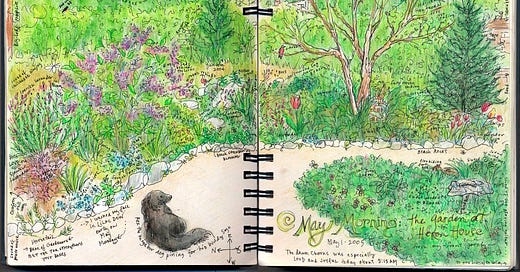 Messages from Sea & Cedar with Joanna Powell Colbert | Substack