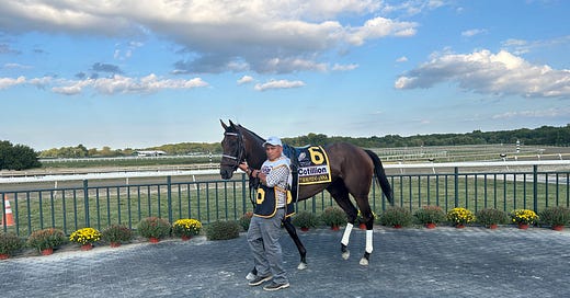 MutStack | Mut (Mike Mutnansky) | Substack