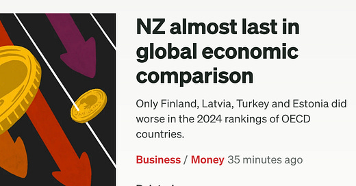 Mountain Tui | Mountain Tūī | Substack