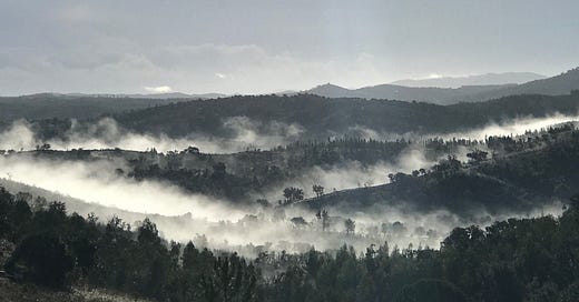 Off-grid and OPEN in Portugal | Alastair Leithead | Substack