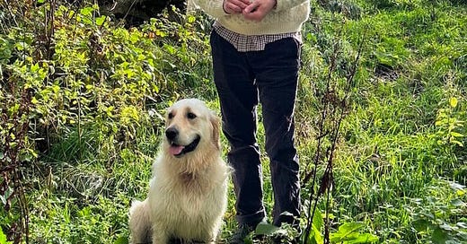 Real Guides | Alessandra De Costanzo | Substack