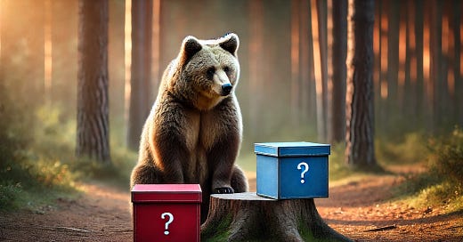 Philosophy bear | Substack