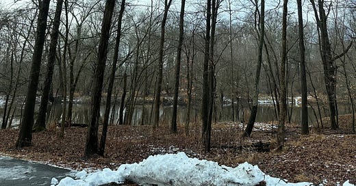 William Lobb's Blog, Newsletter and General Tomfoolery | Substack