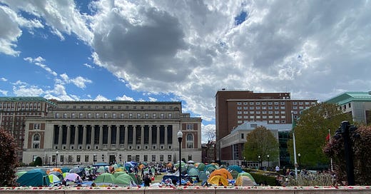 Kitchen Counter | Alistair Kitchen | Substack