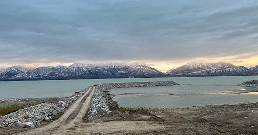 Claire Stibbe | Substack