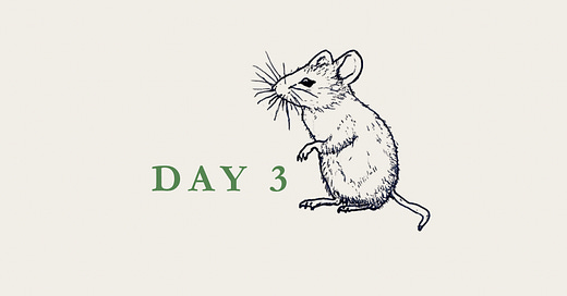 Monica’s Substack | Monica Padman | Substack