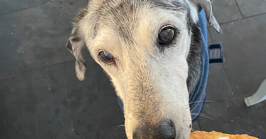 J.F. Riordan; Reflections on a Life in Exile | J. F. Riordan | Substack