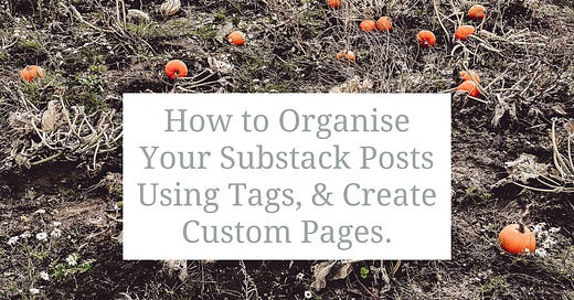 How to Organise Your Substack Posts Using Tags.
