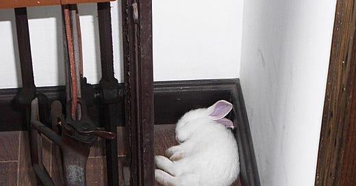 angel of the gutter | vivi | Substack