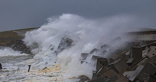 My Orkney Island Life | Rosemary Moon | Substack