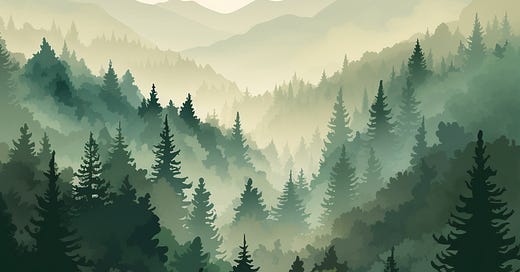 Canopy Newsletter | Claire Lew | Substack