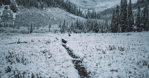 Christopher F. Rufo | Substack