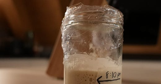 Glutenberg Press | GlutenbergBible | Substack