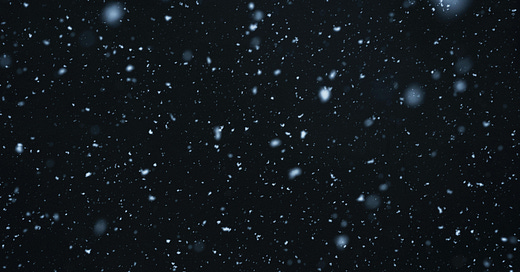 Dandelion Revolution Press | Substack