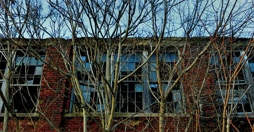 How Things Work | Hamilton Nolan | Substack