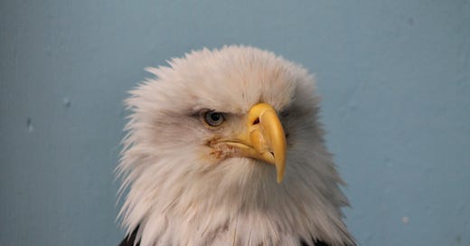 Mike Beram's Substack | Michael Beram | Substack