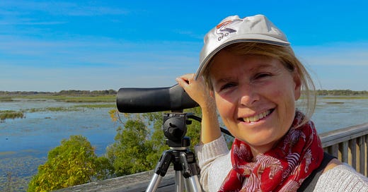 The Owen Sound Current | Miranda Miller | Substack