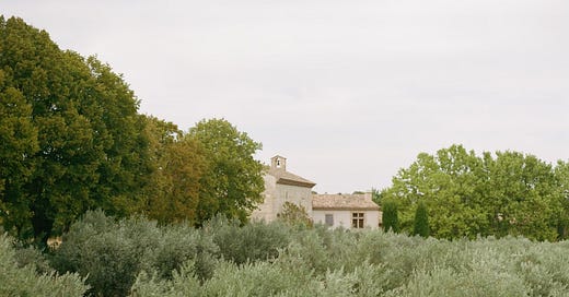 Le Catch’s Substack | Marlien Rentmeester | Substack