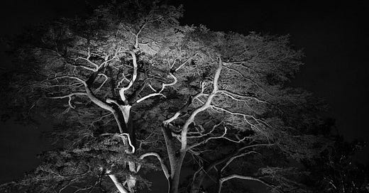 Mark Twight is Équipe Solitaire | Substack