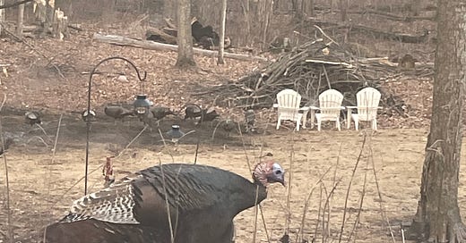 J.F. Riordan; Reflections on a Life in Exile | J. F. Riordan | Substack