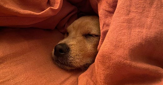 Harry Styles By Harriet Hadfield | Substack