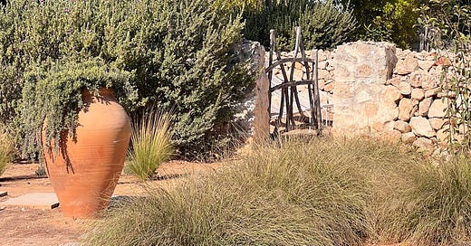 For The Curious | Ali Heath | Substack