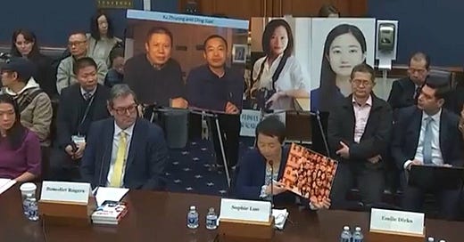 人道中国’s Substack | 人道中国 Humanitarian China | Substack