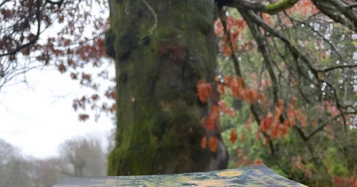 Carly Is Reading | Carly-Ann Rigby | Substack