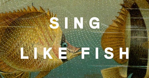 SHuSH, by Kenneth Whyte | ken whyte | Substack