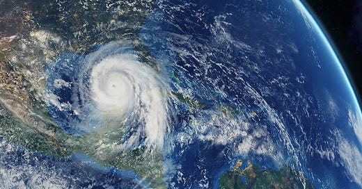 Restoration Bleeds Action | Sharon Beth O'Maley | Substack