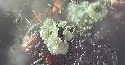 Julia R’s Substack | Julia Regine Cincinatis | Substack