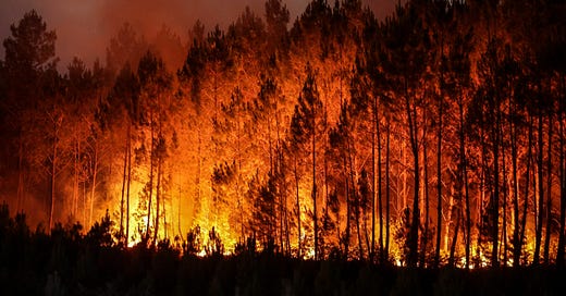 Denis’s Substack | Denis Rancourt | Substack