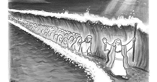 The Cholent | Emily Alhadeff | Substack