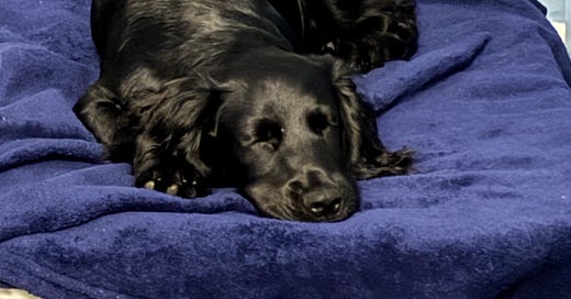 Youier | El Edwards | Substack