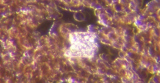 Anita Baxas MD Substack | Professor Anita Baxas,MD | Substack