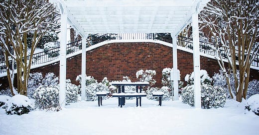 Roman Newell | Substack