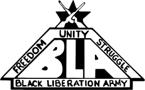 The Black Liberation Army (1970–1981) – The War Against State Violence