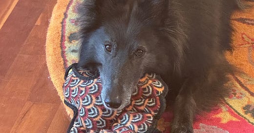 Something True | Maia Toll | Substack