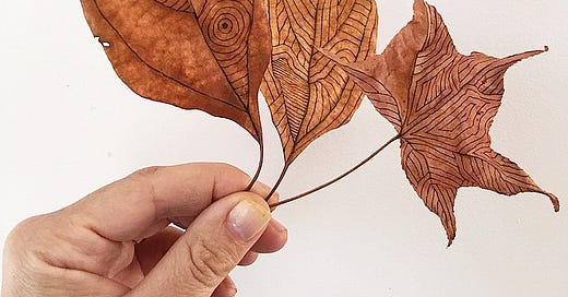 How To Draw Dry Leaves
