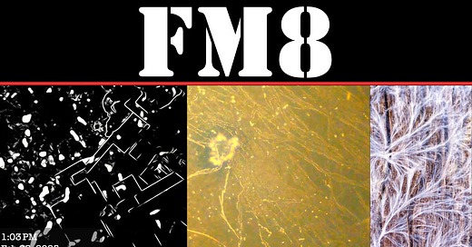 FM8’s Substack | Substack