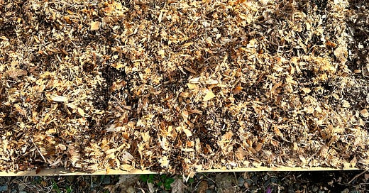 posy & kettle | Sandra Hinchliffe | Substack