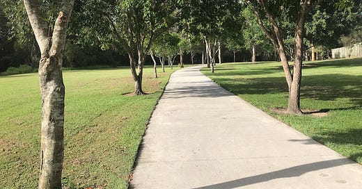 The Shady Lanes Project | Gayle Dallaston | Substack